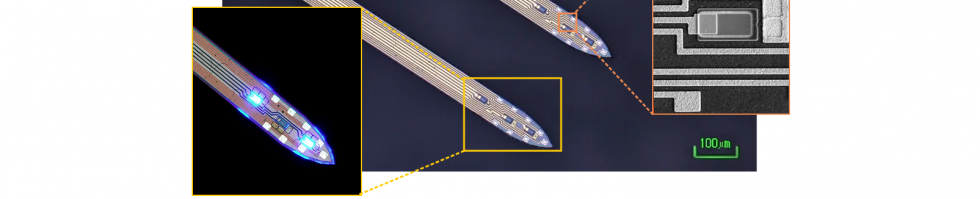 Neural Probe with Integrated LEDs Advances in Vivo Opto-Electrophysiology - New Scale Technologies