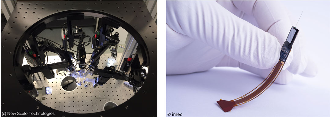 Multi-Probe Manipulator supports imec Neuropixels probes - New Scale ...